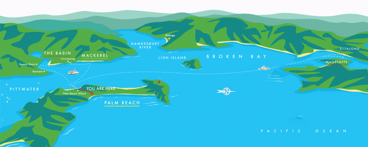Ferry Timetables | Palm Beach Ferries